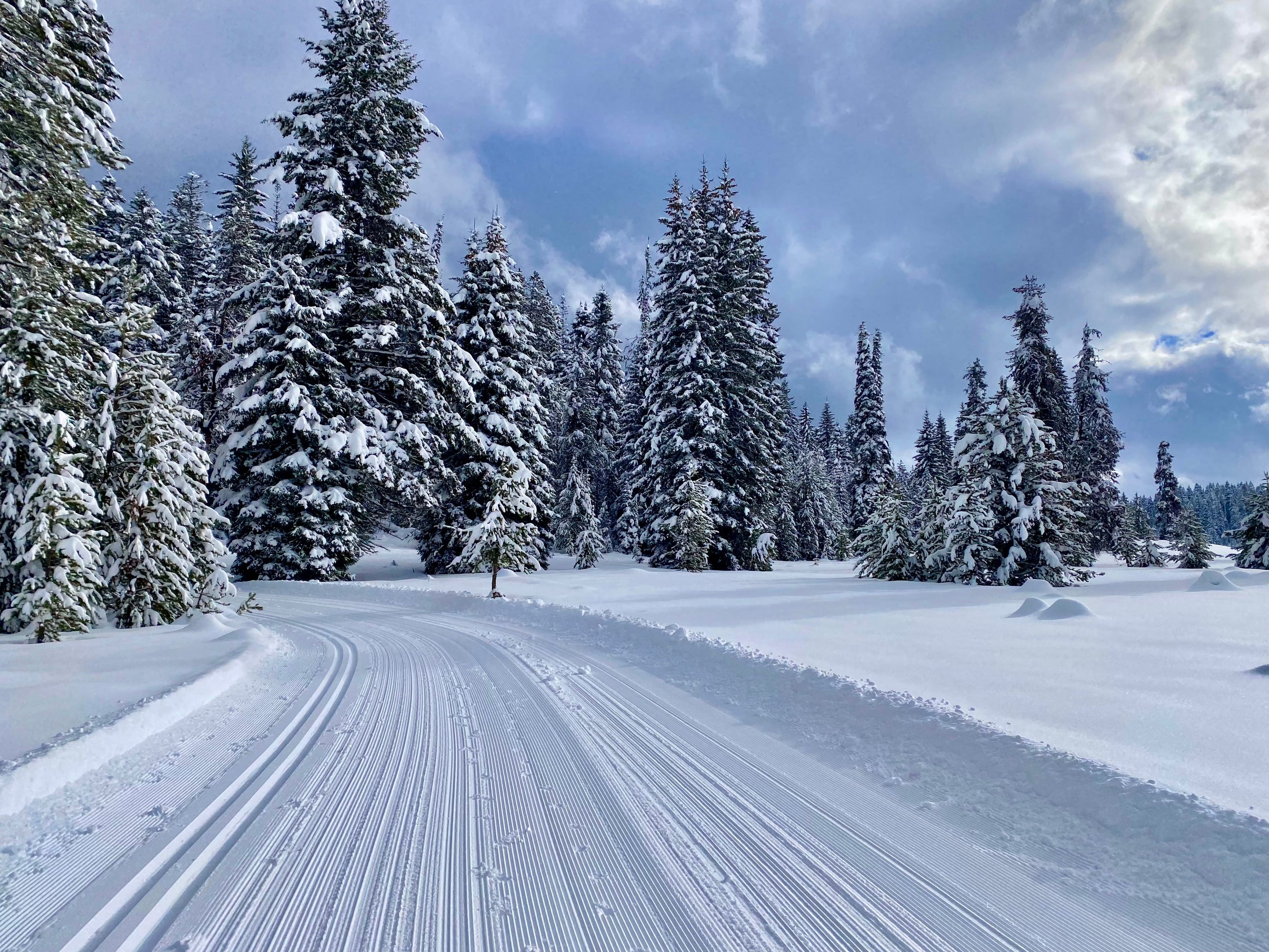 Bear Basin Nordic Center – Little Ski Hill